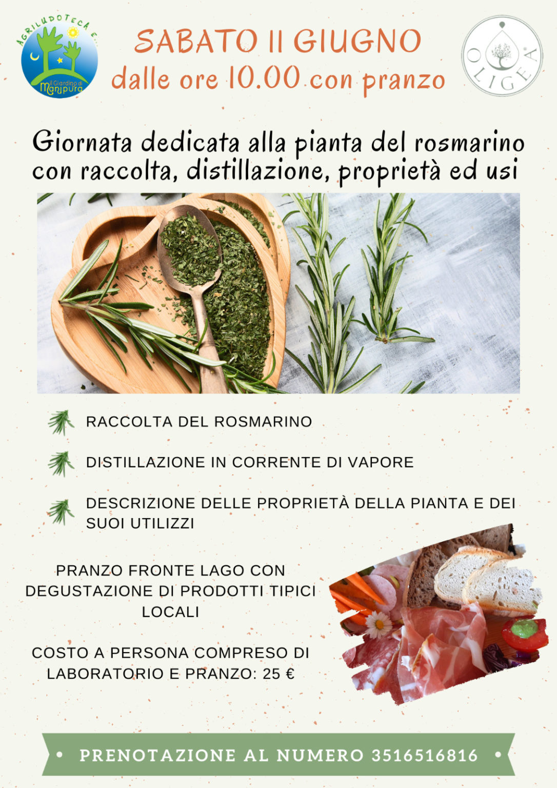 Laboratorio di raccolta e distillazione del rosmarino con pranzo con ...
